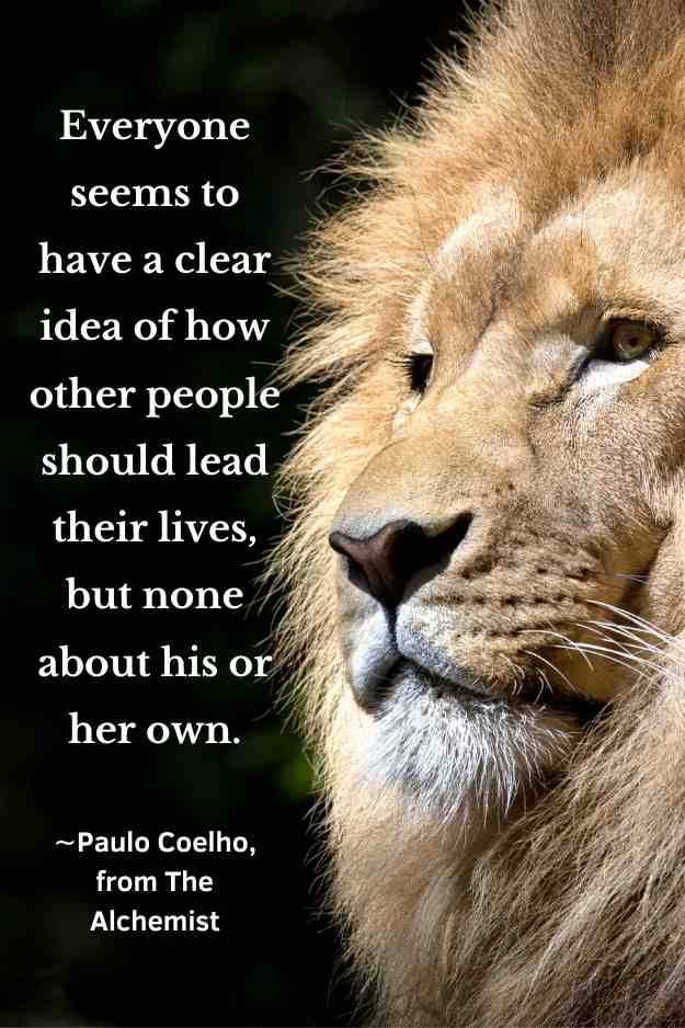 50 Best The Alchemist Quotes With Page Numbers (Dreams, Fate & Love ...