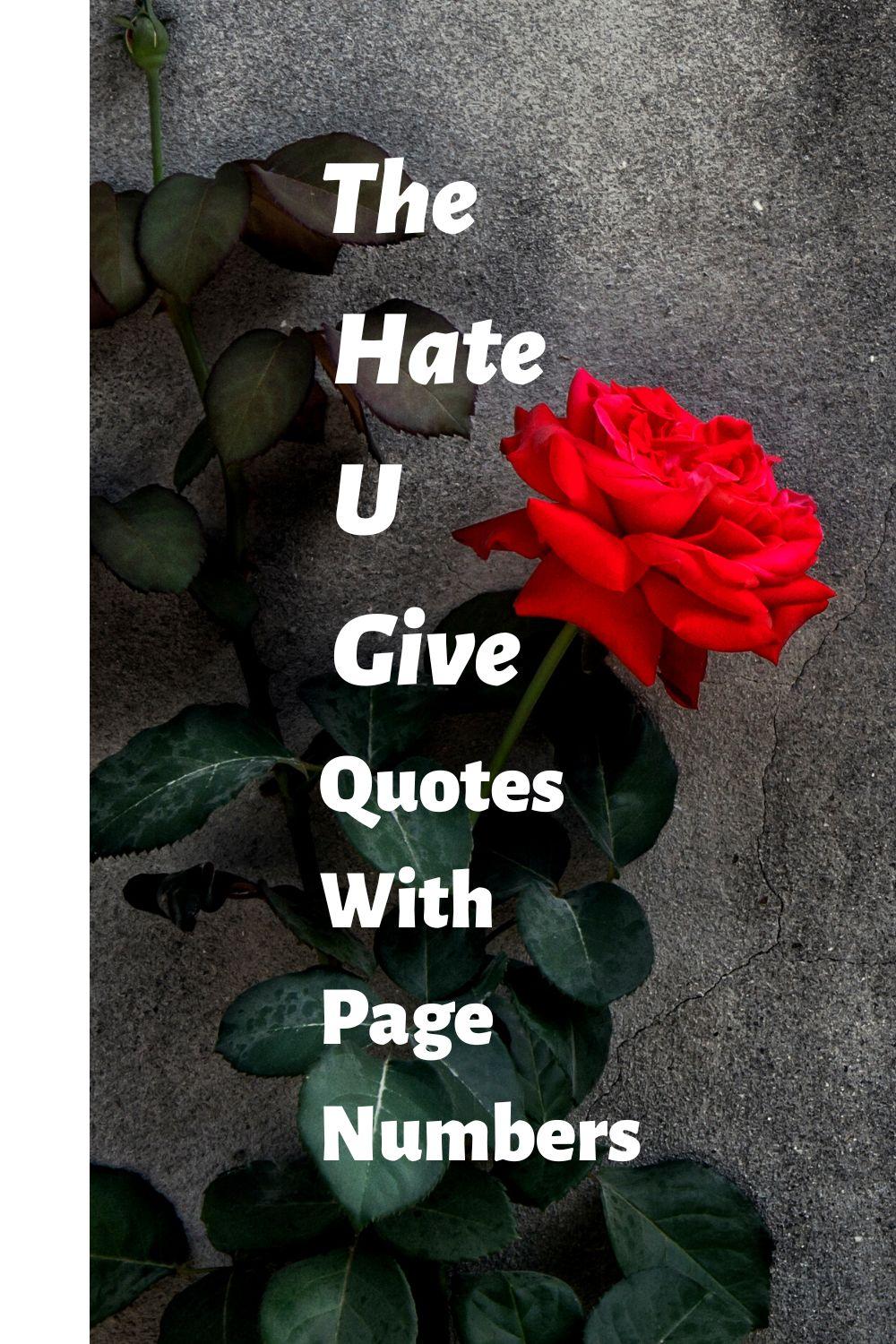 41 The Hate U Give Quotes With Page Numbers & Analysis | Ageless Investing